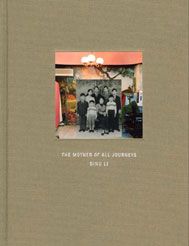 DINU LI | 李典宇 | CHINESE NEW ART | chinesenewart