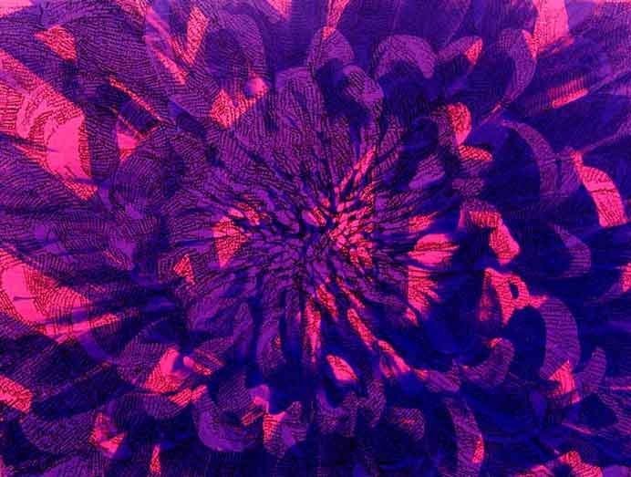 SUNNY WEI PING | 韦萍 | CHINESE NEW ART | chinesenewart